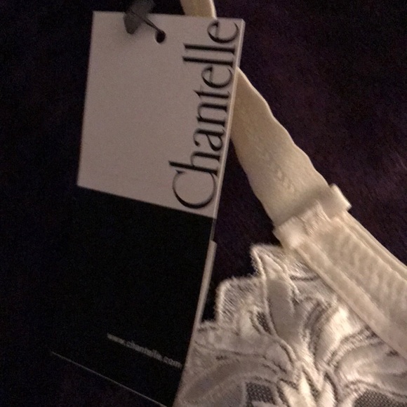 Chantelle | Intimates & Sleepwear | Chantelle Bra 36c | Poshmark